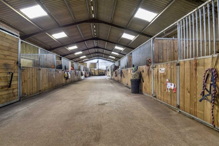 Welcome to Hill Farm Equestrian - Hill Farm Equestrian